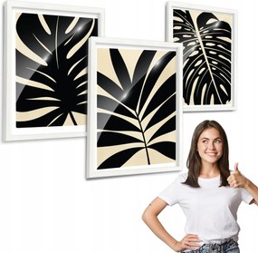 Sada 3 obrazů vzor Rostlina Monstera bílá rámeček 30x40 na plexi triptych
