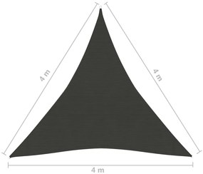 Stínící plachta 160 g/m² antracitová 4 x 4 x 4 m HDPE - Default Title