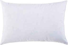 XXXLutz VÝPLŇ POLŠTÁŘE 40/60 cm Sleeptex - Dekorační polštáře - 007992037403