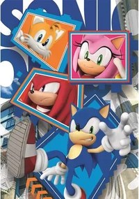 Clementoni 25038 Puzzle Ježek Sonic: Parťáci 104 dílků / od 6 let