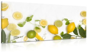 Obraz mix citrusových plodů Varianta: 100x50
