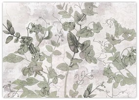 Obraz - Rostliny v omítce (70x50 cm)