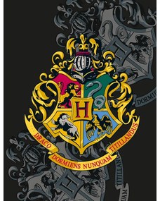 Deka Harry Potter Erb Bradavic 130x170 cm