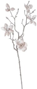 zasněžená magnolie 62 cm - pudrová světlá