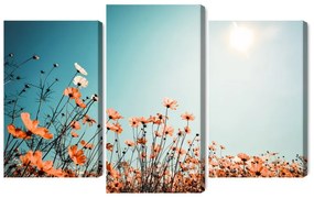 Vícedílný obraz Polní Květiny Na Slunci Nedostatek Nedostatek Plátno Canvas 180x120
