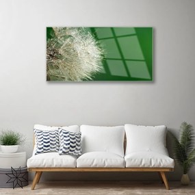 Obraz na skle Pampeliška Rostlina 100x50 cm