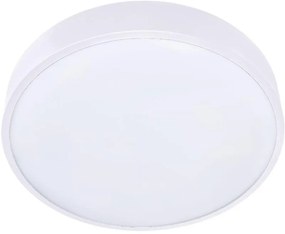 Brilagi led stropní svítidlo pool 36 w/230 v 3000/4000/6000 k pr. 30 cm bílé