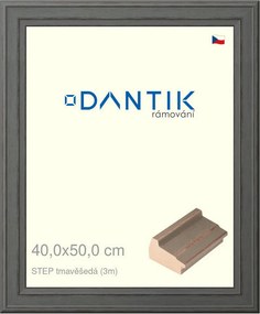 DANTIK rámeček 40x50 | STEP tmavěšedá (Sklo Čiré)