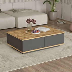 Konferenční stolek Frem Anthracite and Atlantic Pine