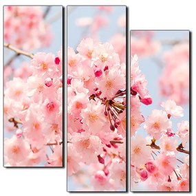 Obraz na plátně - Třešňový květ - čtverec 3279D (105x105 cm)