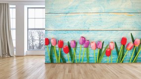 Malvis ® Tapeta Tulipány a azurové dřevo Vel. (šířka x výška): 288 x 200 cm