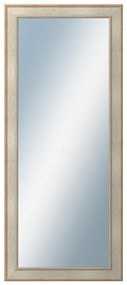 DANTIK - Zarámované zrcadlo - rozměr s rámem cca 60x140 cm z lišty TOOTH stříbrná (2779)