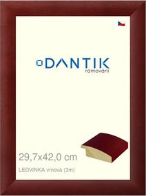 DANTIK rámeček 29,7x42 | LEDVINKA vínová (Plexi Čiré)