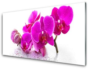 Obraz na skle Květiny Rostlina 125x50cm