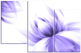 Obraz na plátně - Elegantní květ 1147VC (105x70 cm)