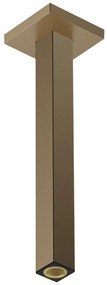 Hansgrohe Příslušenství - Sprchové rameno stropní, 31 cm, kartáčovaný bronz 24339140