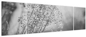Obraz - Louka po dešti (170x50 cm)