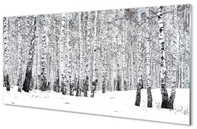 akrylový obraz Zimní břízy 120x60 cm