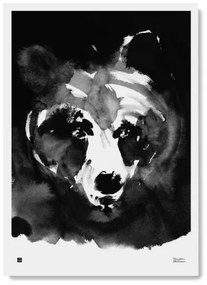 Teemu Järvi Plakát s motivem medvěda Mysterious bear 50x70