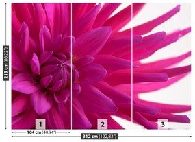 Fototapeta Dahlia Pink 104x70