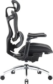 Sihoo DORO-C300-PRO černá / Kancelářská židle / síťovina