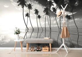 Tapeta palmy s měsícem černobílé - 150x100 cm
