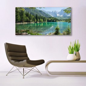 akrylový obraz Hory Jezero Les Příroda 120x60 cm