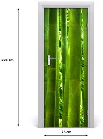 Fototapeta na dveře Bambus 75x205 cm