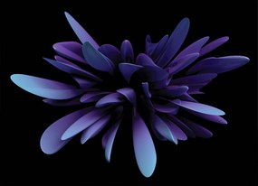 Malvis ® Tapeta Abstraktní tvar květu Vel. (šířka x výška): 432 x 290 cm