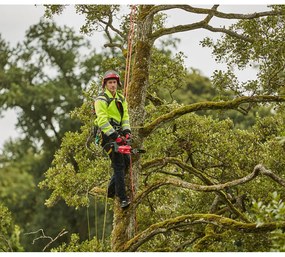 Akumulátorová řetězová pila CRAMER 82TCS15 (Dodáváno bez baterie a nabíječky)