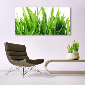 akrylový obraz Tráva Rostlina 120x60 cm