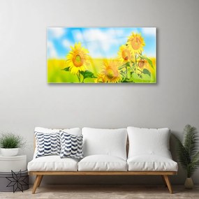 Obraz na skle Slunečnice Květiny Příroda 140x70 cm