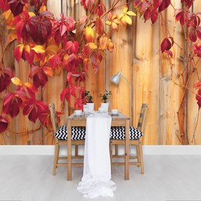 Fototapeta - Podzimní listí (254x184 cm)