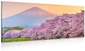 Obraz nádherné Japonsko - 100x50 cm