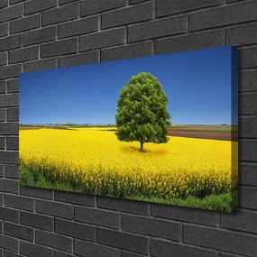 Obraz na plátně Louka Strom Příroda Pole 100x50 cm