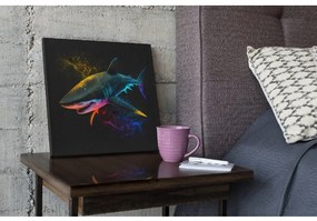 Obraz na plátně - barevný žralok FeelHappy.cz Velikost obrazu: 40 x 40 cm