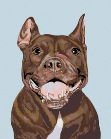 zuty malování podle čísel - pitbull, 80x100 cm, vypnuté plátno na rám