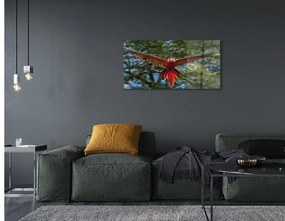 Obraz na skle ara papoušek 100x50 cm