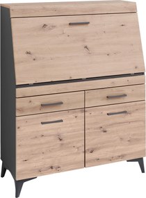XXXLutz SEKRETÁŘ, 98/124/42 cm Carryhome - 002737027305
