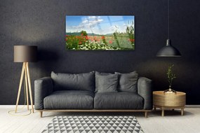 Obraz na skle Louka Květiny Příroda 100x50 cm