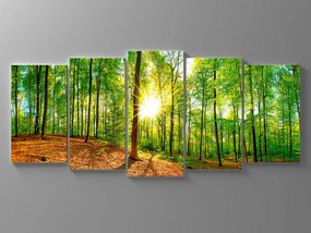 Liox Obraz les Rozměr: 200 x 90 cm