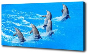 Wallmuralia Foto obraz na plátně do obýváku Delfíny 100x50