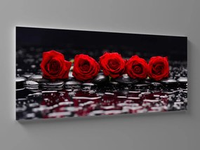 Liox Obraz růže a kameny Rozměr: 120 x 55 cm