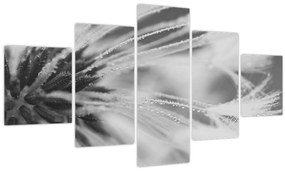 Obraz - Pampeliška (125x70 cm)
