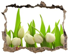 Wallmuralia Samolepící nálepka na zeď Bílé tulipány 95x64 cm