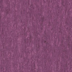 Homogenní PVC Tarkett iQ OPTIMA - PURPLE 0255