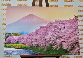 Obraz japonska sopka Fuji - 60x40 cm