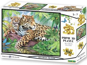 PRIME 3D PUZZLE - Jaguáři u bazénu 100 ks
