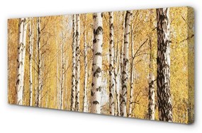 Obrazy na plátně podzimní stromy 140x70 cm