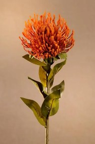 Paramit DRY PROTEA Aranžovací květina oranžová 73 cm
